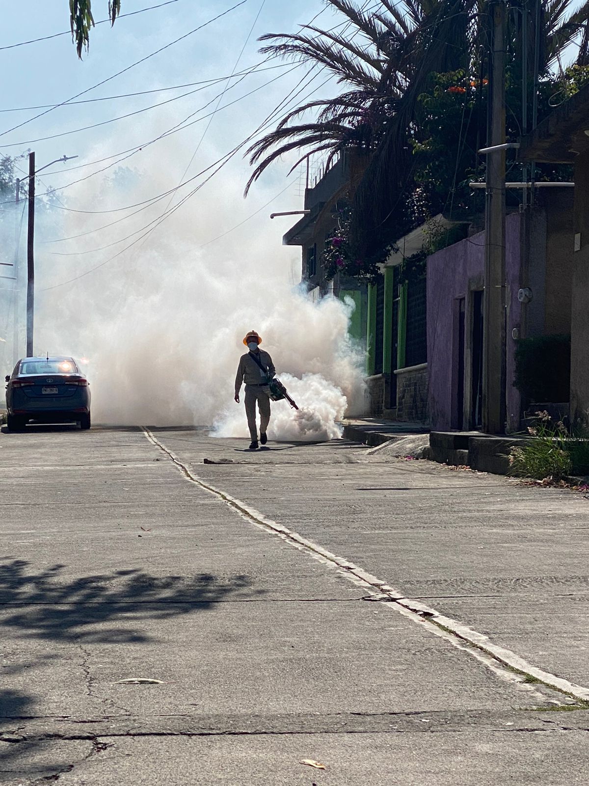 Refuerza SSM acciones contra el dengue - Respuesta Michoacán Refuerza SSM acciones contra el dengue - Respuesta Michoacán
